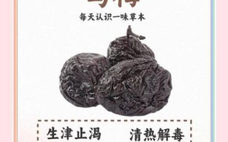 乌梅一天吃多少最好_乌梅吃多了会怎样