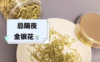 女性长期喝金银花好吗_金银花茶副作用