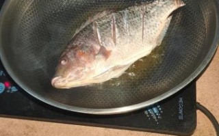 煎鱼怎么才不粘锅_煎鱼用什么锅最好
