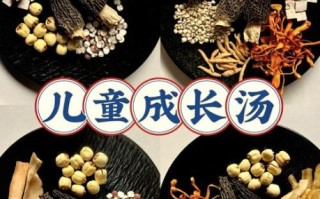 羊肚菌汤怎么炖好喝_羊肚菌汤做法步骤