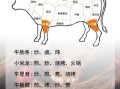 酱牛肉怎么做好吃_酱牛肉用什么部位最好