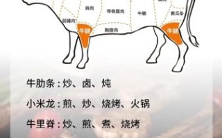酱牛肉怎么做好吃_酱牛肉用什么部位最好