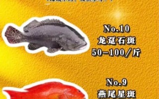 石斑鱼有毒吗_市场上卖的石斑鱼安全吗