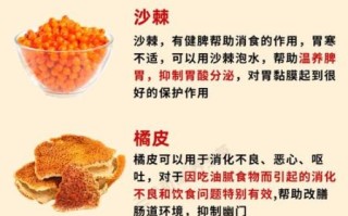 猴头菇粉怎么吃才养胃_猴头菇粉养胃的正确吃法