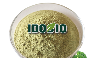 broccoli怎么读_broccoli发音技巧