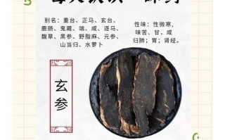 玄参的功效与作用及食用方法_玄参怎么吃效果最好