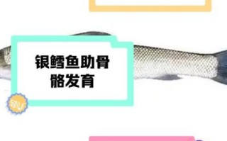 银鳕鱼的营养价值_银鳕鱼适合宝宝吃吗