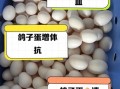鸽子蛋的营养价值_孕妇可以吃鸽子蛋吗