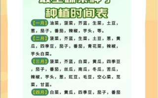 常见蔬菜名称大全_哪些蔬菜适合家庭种植
