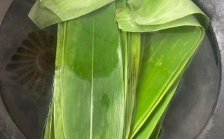包粽子的叶子泡多久_粽叶泡多久才合适