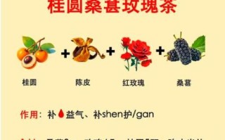 桂圆怎么煮_桂圆的做法大全