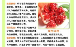吃石榴籽的功效与作用_石榴籽能吃吗