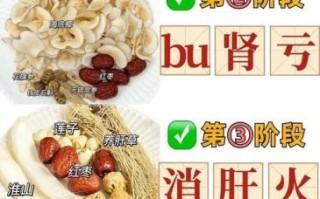 补肾食疗配方有哪些_肾虚吃什么食物最快见效