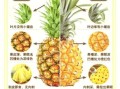 菠萝和凤梨有什么区别_怎么区分