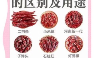 辣椒图片怎么拍_辣椒品种识别方法