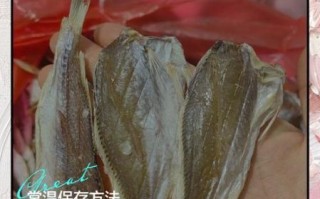 鱼干怎么保存不变质_鱼干可以冷冻吗
