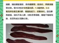 猪脾的功效与作用_猪脾的危害有哪些