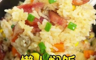懒人焖饭怎么做_懒人焖饭做法窍门