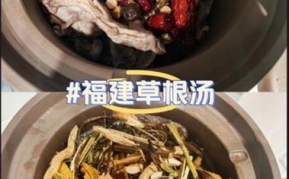 炖汤草根大全_哪些草根适合炖汤