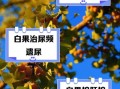 银杏果的功效与副作用_怎么吃才安全
