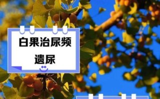 银杏果的功效与副作用_怎么吃才安全