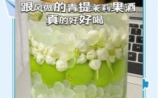 青提葡萄酒的做法_家庭自酿青提葡萄酒步骤