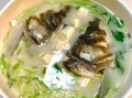 鱼头豆腐汤怎么做不腥_鱼头豆腐汤怎么炖奶白