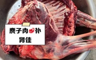 麂子肉怎么做好吃_麂子肉价格多少钱一斤