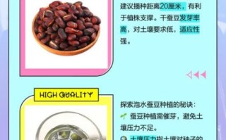 干蚕豆怎么泡发_干蚕豆的家常做法