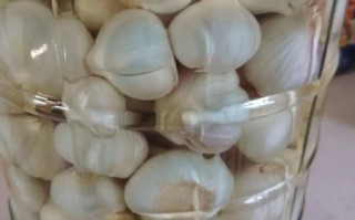 醋泡大蒜为什么会变绿_变绿后还能不能吃