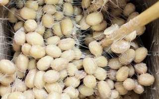 纳豆是什么做的_纳豆原料有哪些