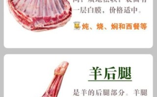 羊肉的功效与作用有哪些_吃羊肉的禁忌是什么