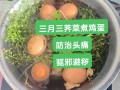 地菜煮鸡蛋的功效_三月三为什么要吃地菜蛋