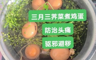 地菜煮鸡蛋的功效_三月三为什么要吃地菜蛋