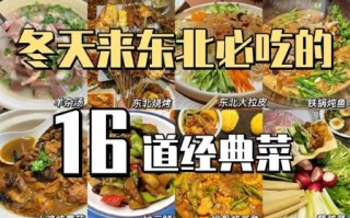 东北菜谱大全带图片菜_东北家常菜怎么做