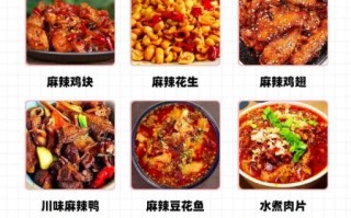 川菜食谱大全下载_正宗川菜怎么做
