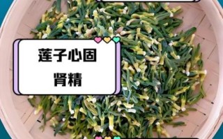 莲子心泡茶的功效与作用_莲子心泡茶能天天喝吗