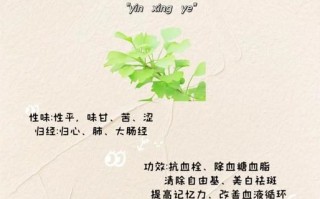 银杏叶片副作用有哪些_银杏叶片禁忌人群