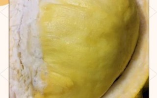 榴莲可以留一半在壳里吗_榴莲怎么保存 榴莲可以留一半在壳里吗_榴莲怎么保存