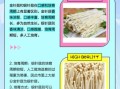 银针菇怎么挑选_银针菇和金针菇区别