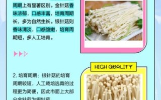银针菇怎么挑选_银针菇和金针菇区别