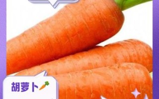 胡萝卜的功效与作用_胡萝卜怎么吃最营养 胡萝卜的功效与作用_胡萝卜怎么吃最营养