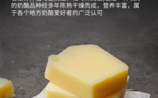 芝士粉可以代替芝士吗_芝士粉和芝士区别