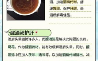 最有效的解酒汤怎么做_宿醉后喝什么汤最快醒酒