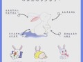 忌廉兔怎么养_忌廉兔寿命有多长