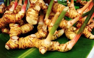 高良姜图片功效与作用_高良姜怎么吃效果最好