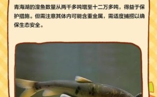 青海湟鱼的做法大全_湟鱼怎么做好吃