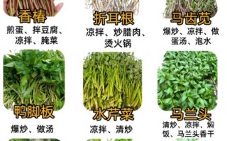 山野菜图片大全_如何辨别可食用品种