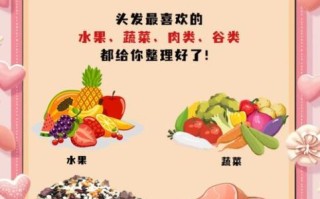 女生掉头发吃什么好_女生掉头发吃什么食物好
