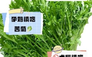 苦菊什么人不能吃_苦菊禁忌人群